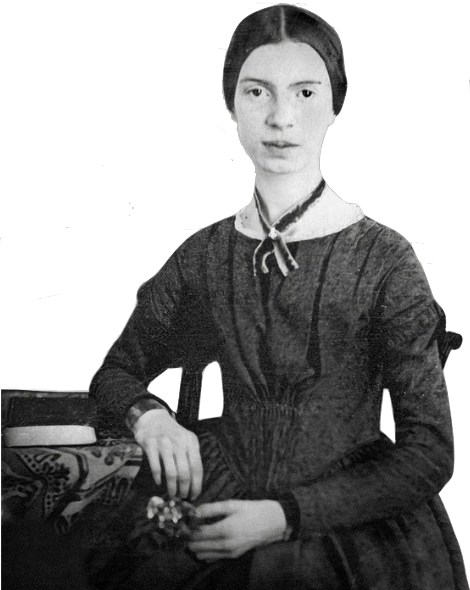 Portfolio - Jonathan Armoza